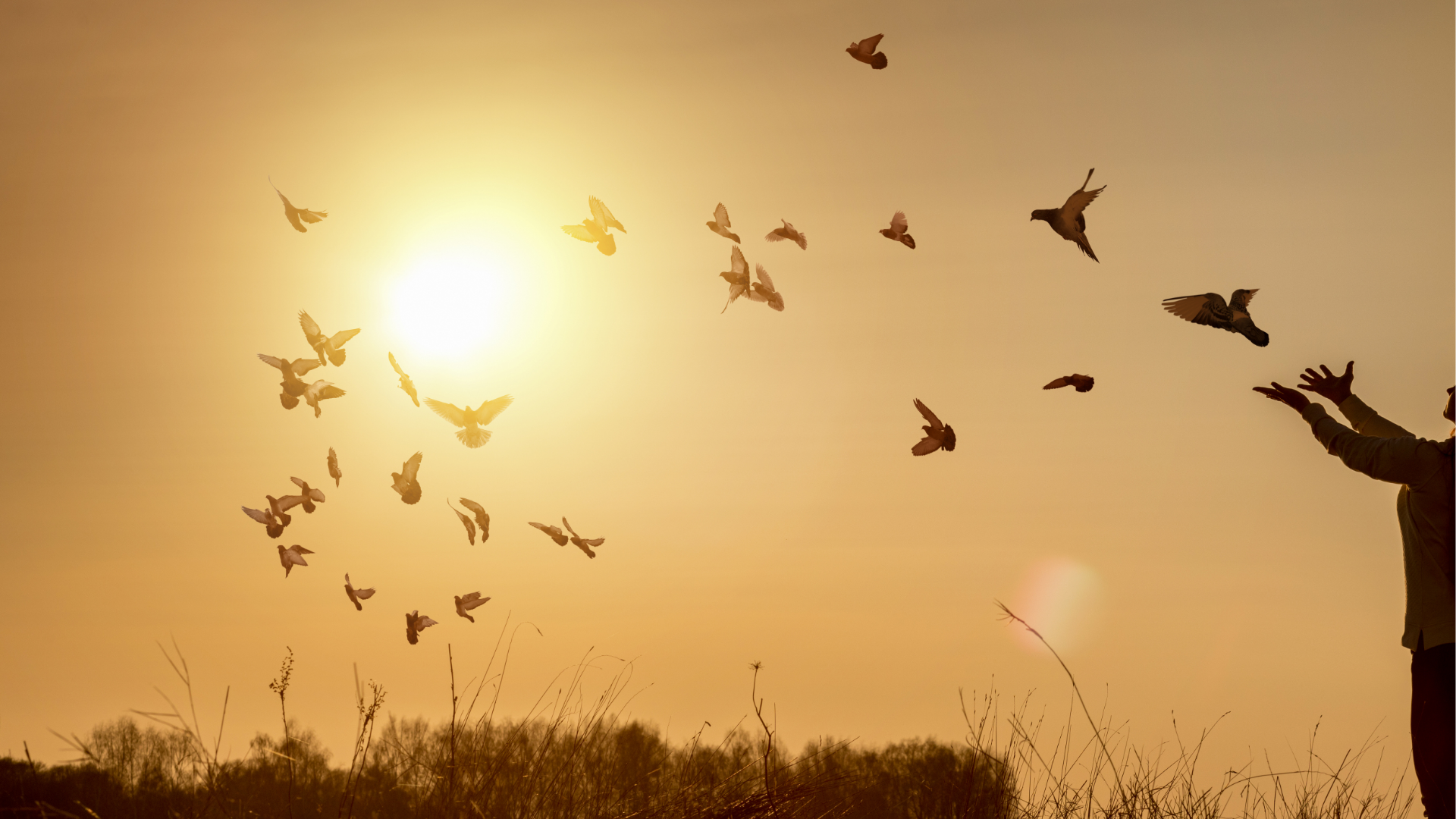 8-Day Silent Retreat